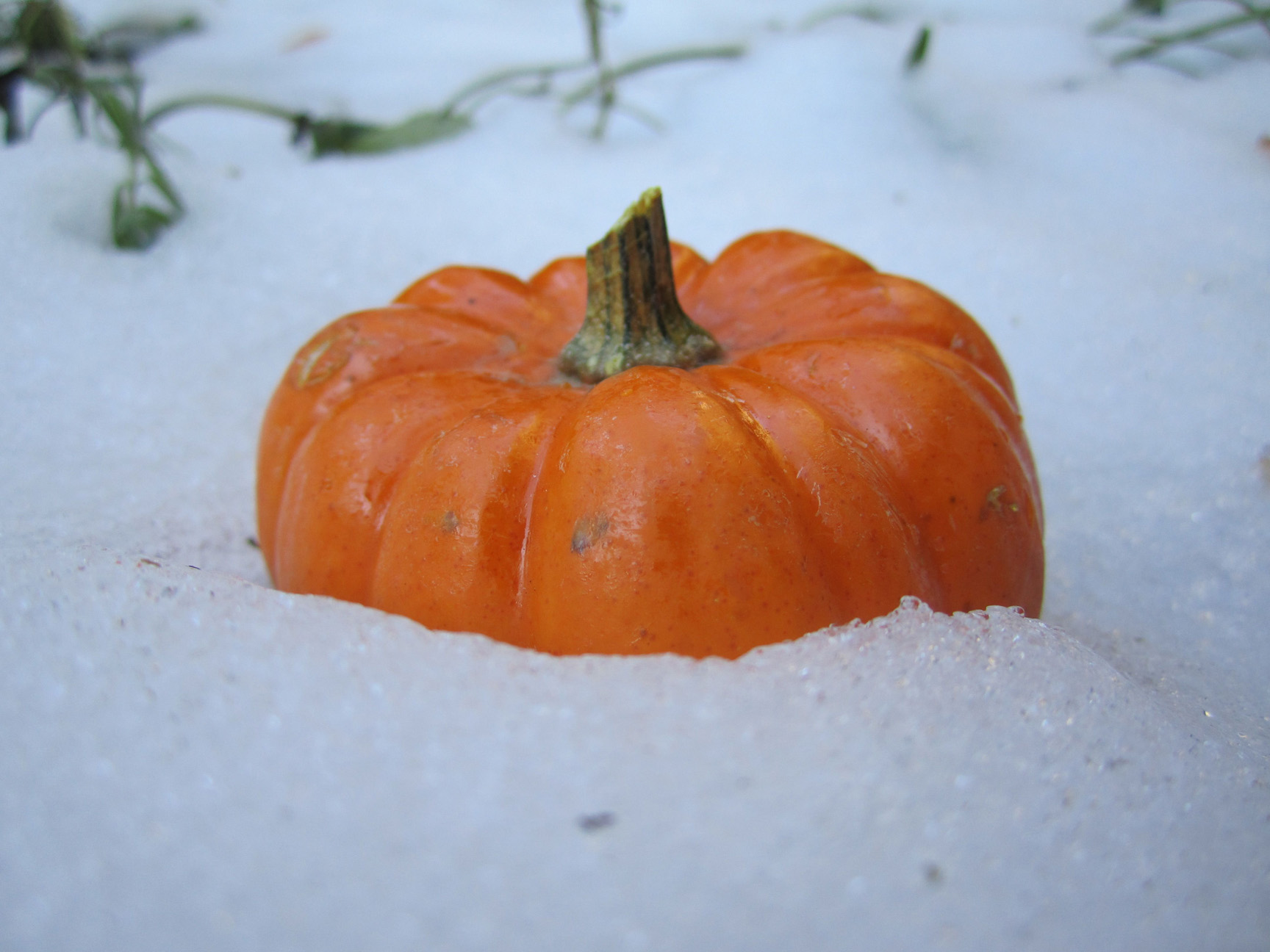 October Surprise | The Weather Gamut