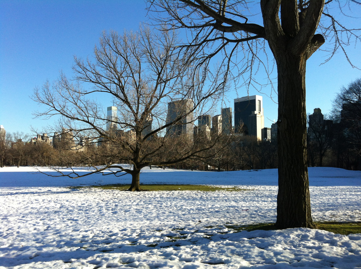 An Early Spring Preview | The Weather Gamut