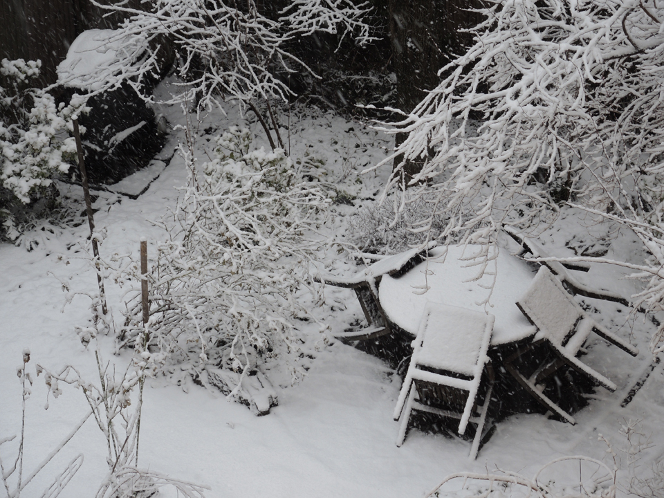 A Snowy Start to Spring in NYC | The Weather Gamut