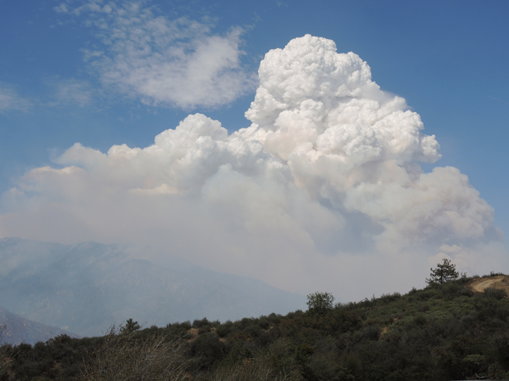 Pyrocumulus Cloud Forms Over Wildfire in Kings Canyon National Park ...